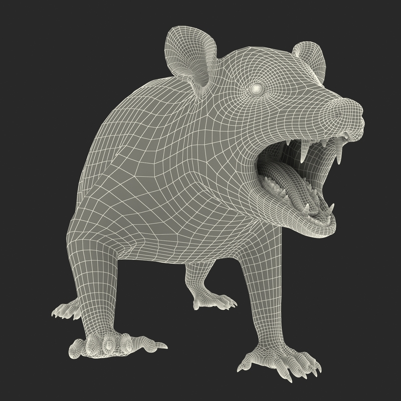 possum fur rigged 3d max