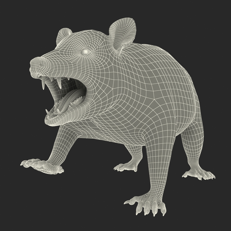 possum fur rigged 3d max