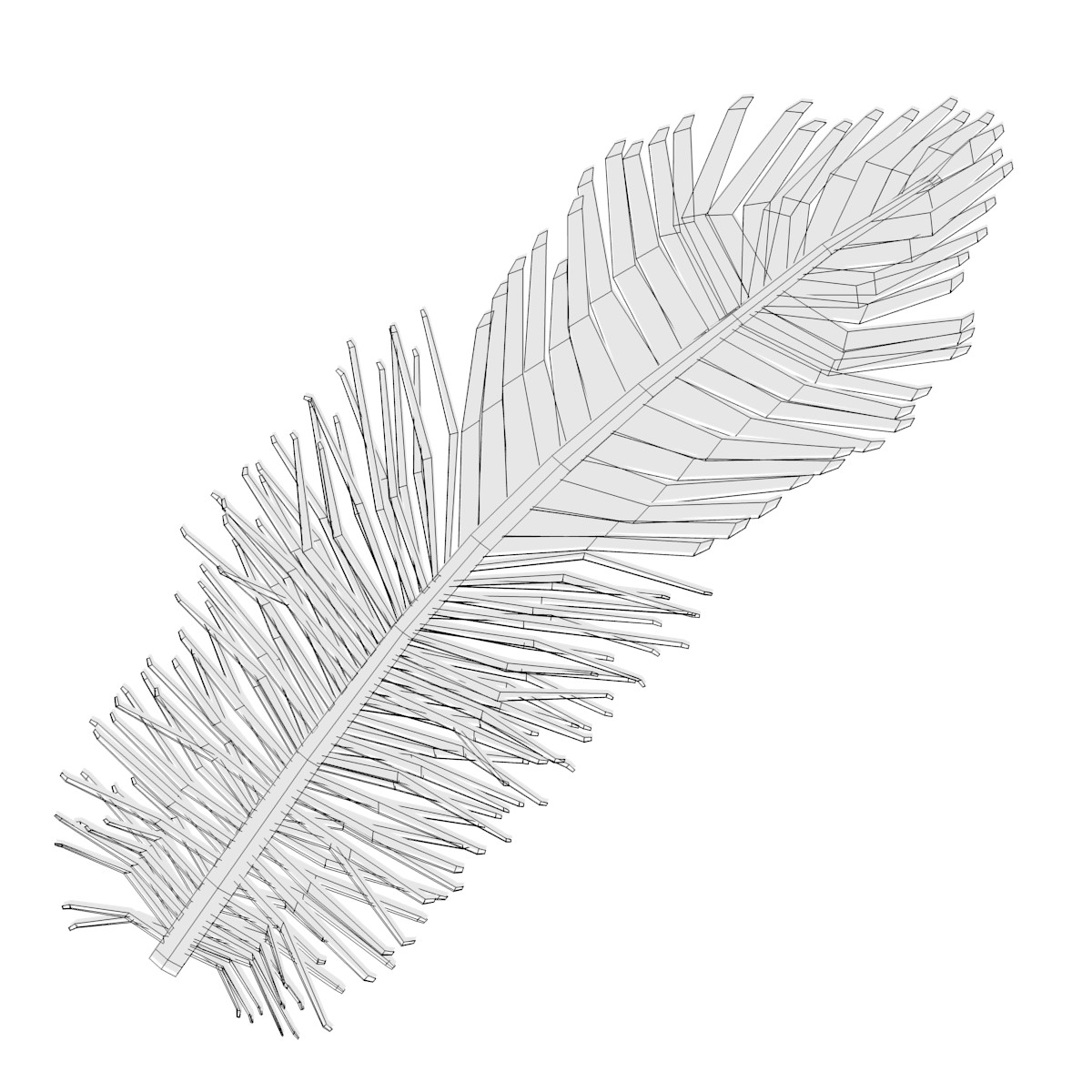 bird feather 3d 3ds