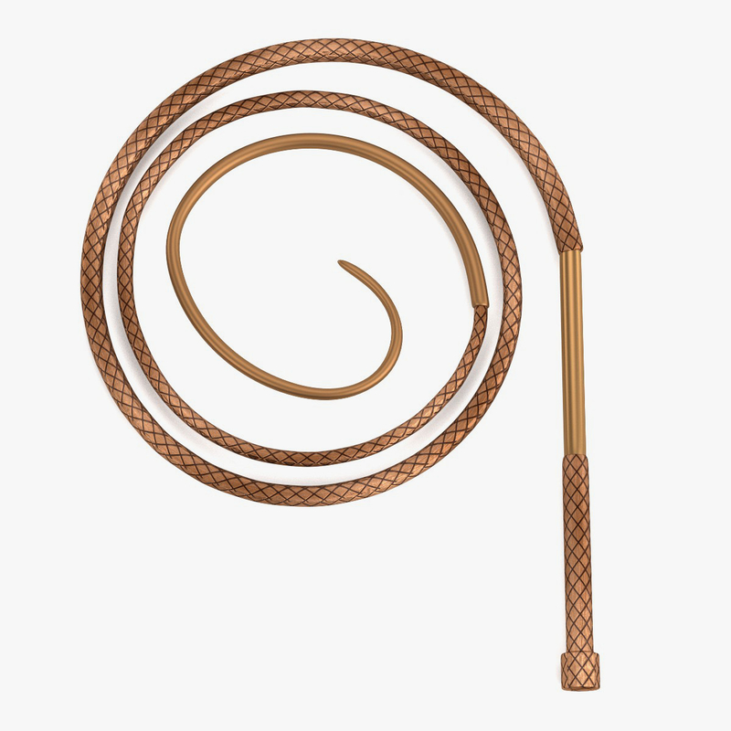 whip 3d model