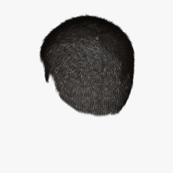 thomas hair 3d 3ds