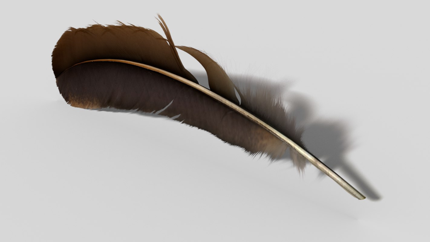 feather 3ds