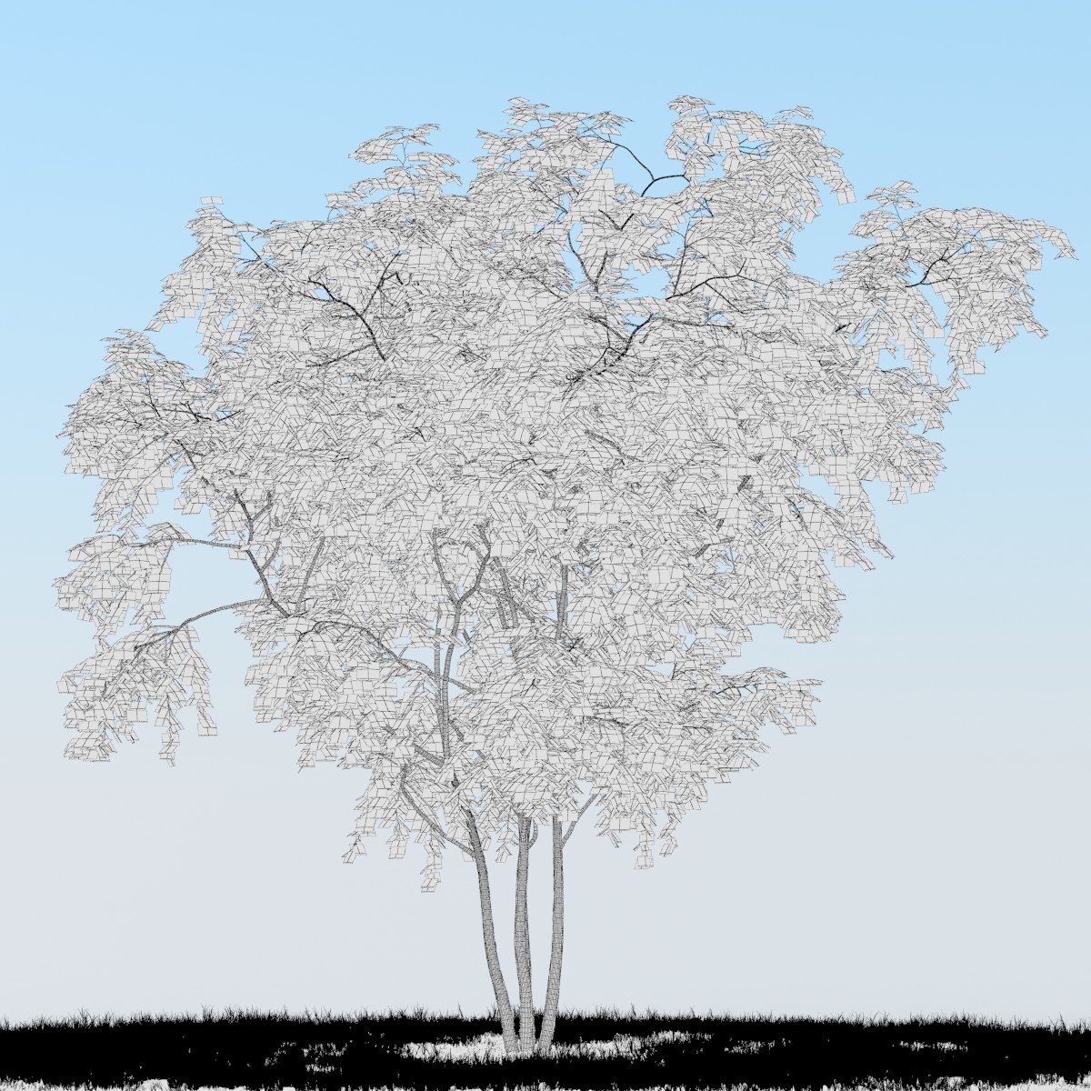 japanese maple 3d max