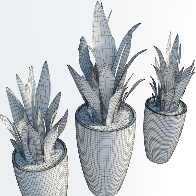 outdoor plants gardening 3d max