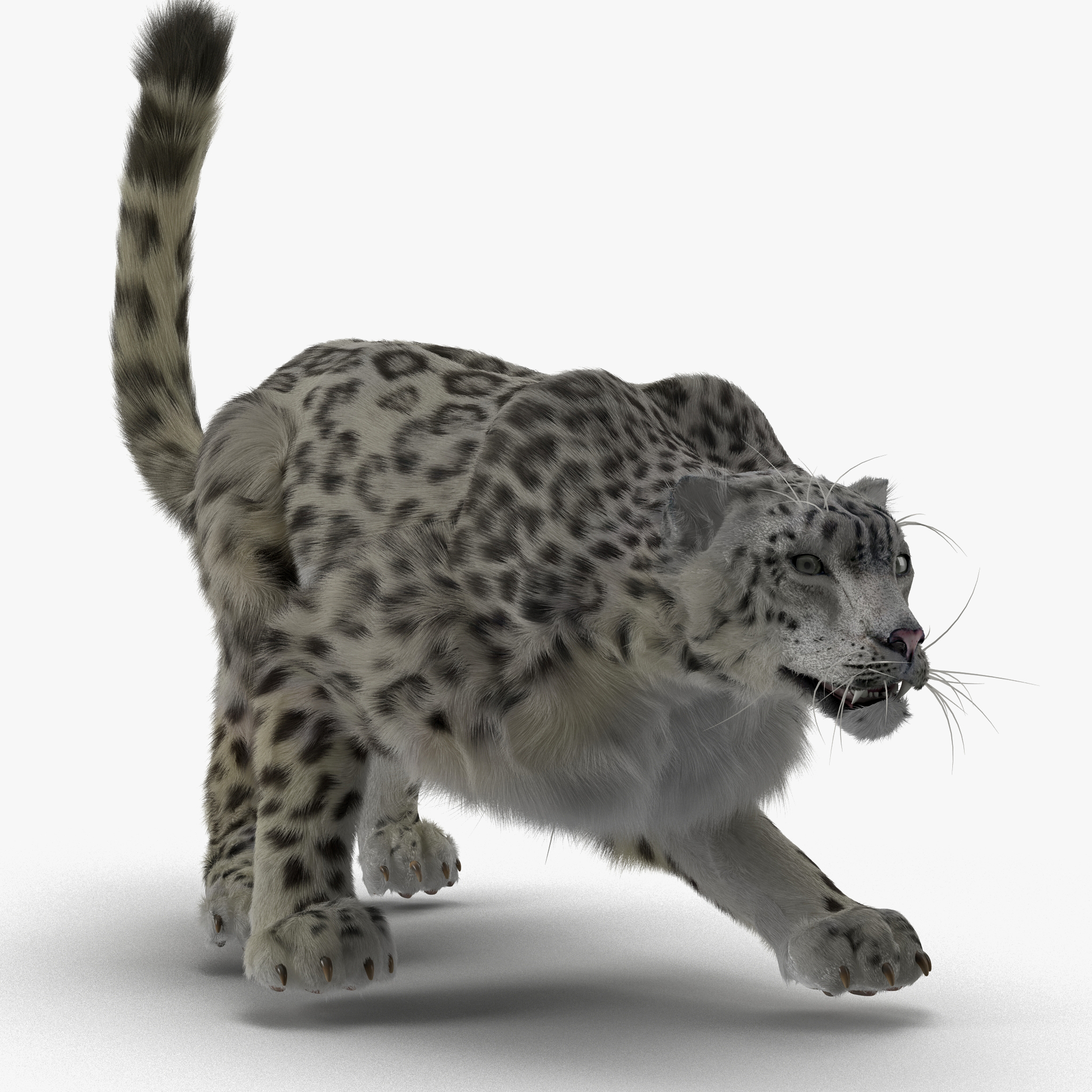 3d snow leopard pose model