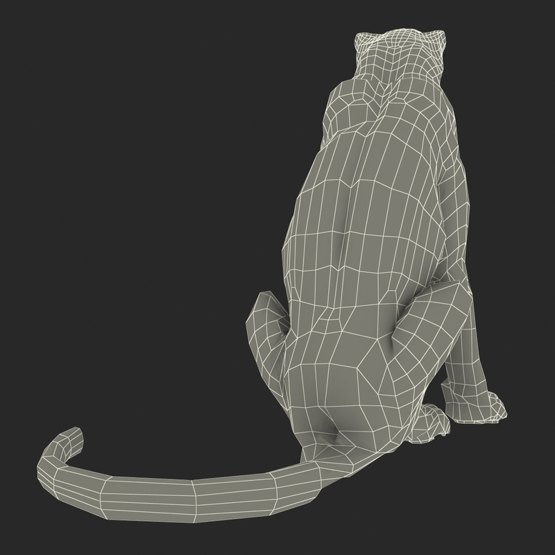 3ds max snow leopard pose