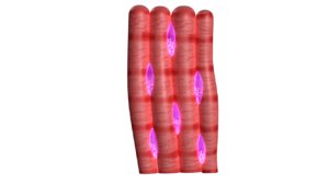 3D neural tissue model - TurboSquid 1261525