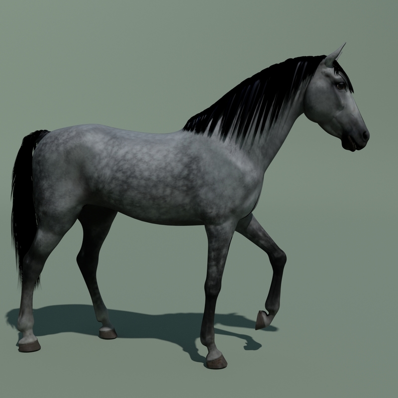 blender horse animations colour 3d 3ds