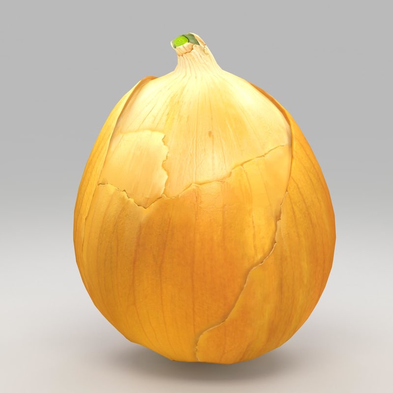 onion 3d max