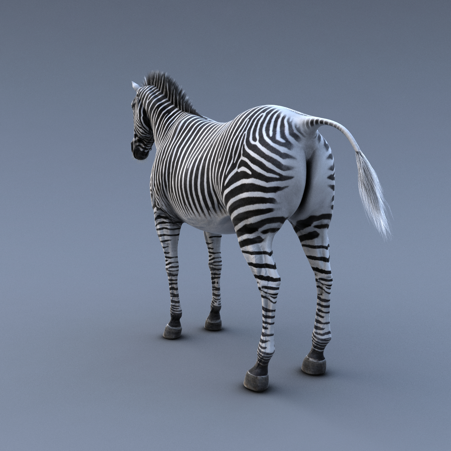 zebra max