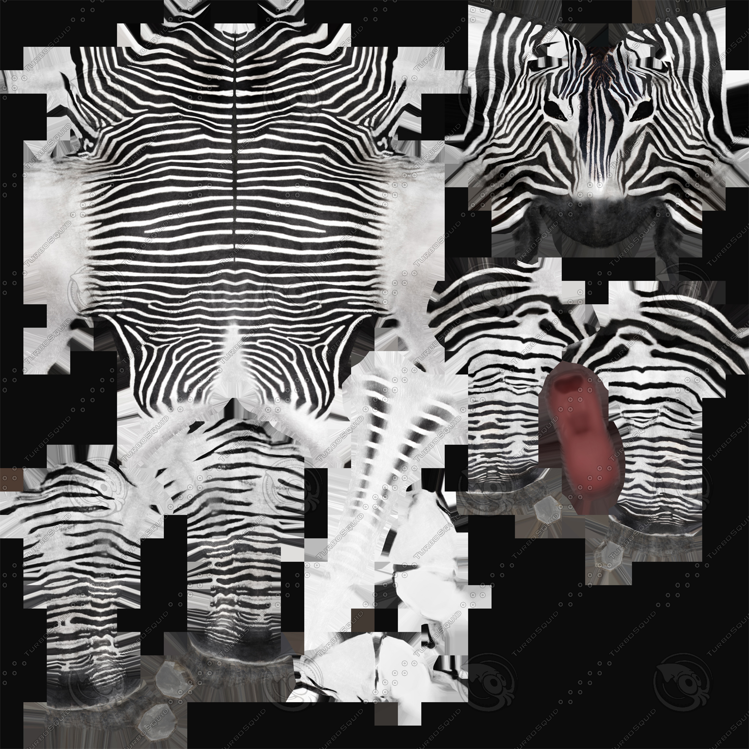 zebra max