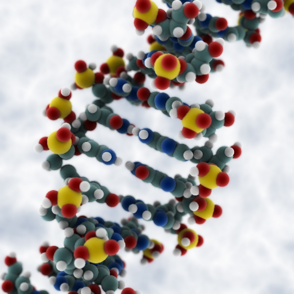 Free 3D Dna Models | TurboSquid