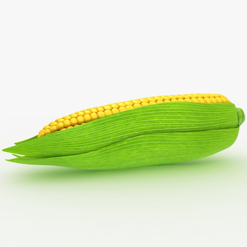 3d realistic corn