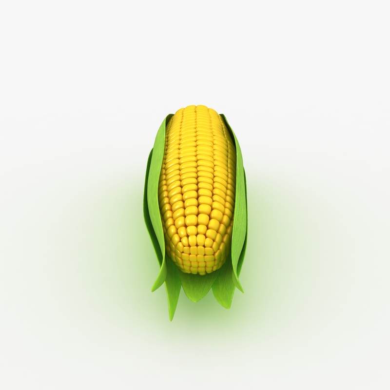 3d realistic corn