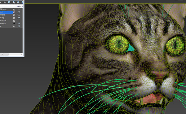 3d max cat hairfarm animation
