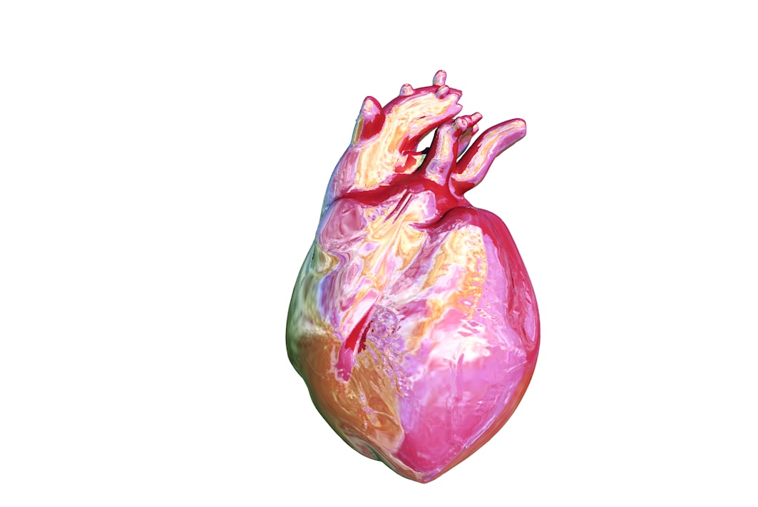 human heart obj
