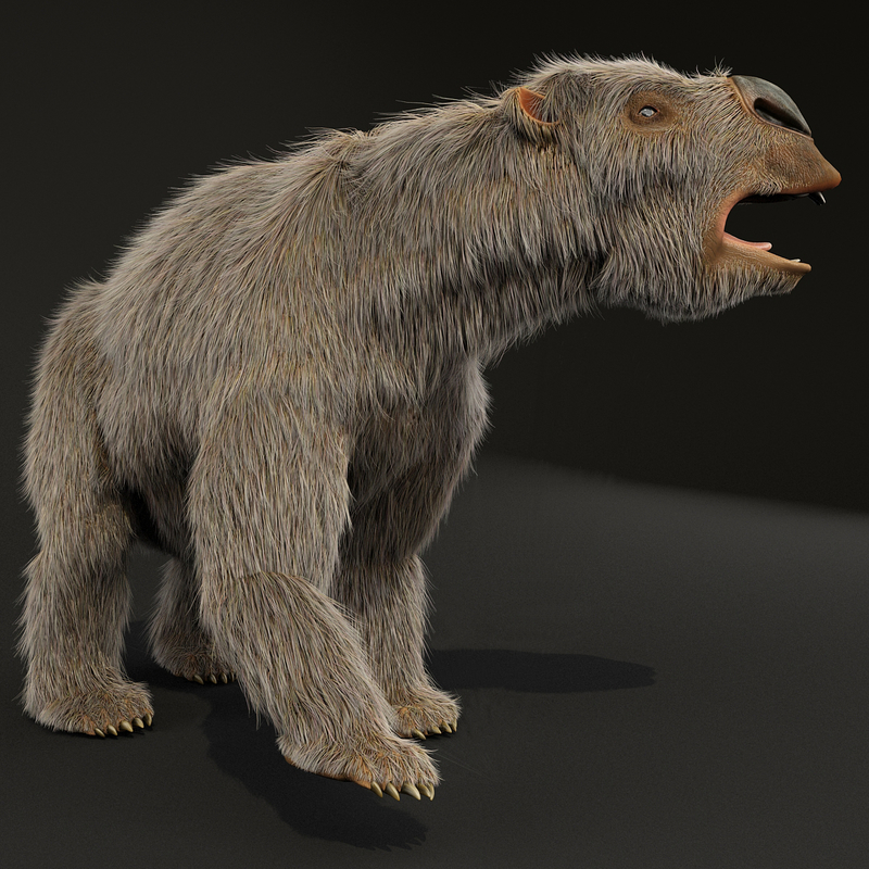 3d model diprotodon fur