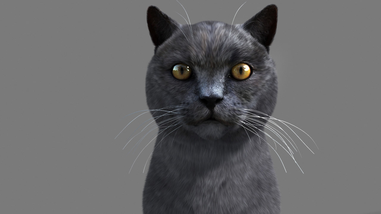3ds max cat hairfarm animation