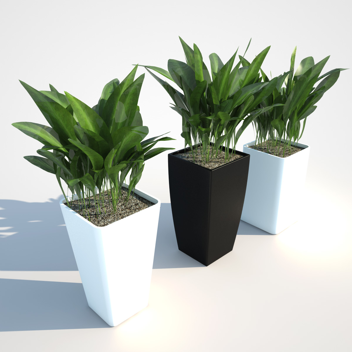 contemporary plants mini 3d max