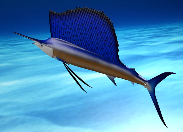 obj sailfish fish poses