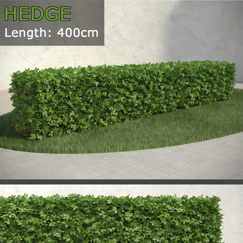 3d hedge 2 model