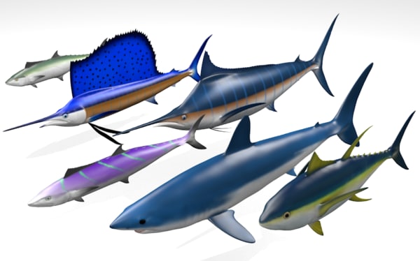 Marlin 3D Models for Download | TurboSquid