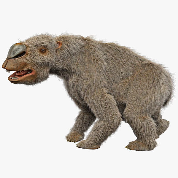 Diprotodon 3D Models for Download | TurboSquid