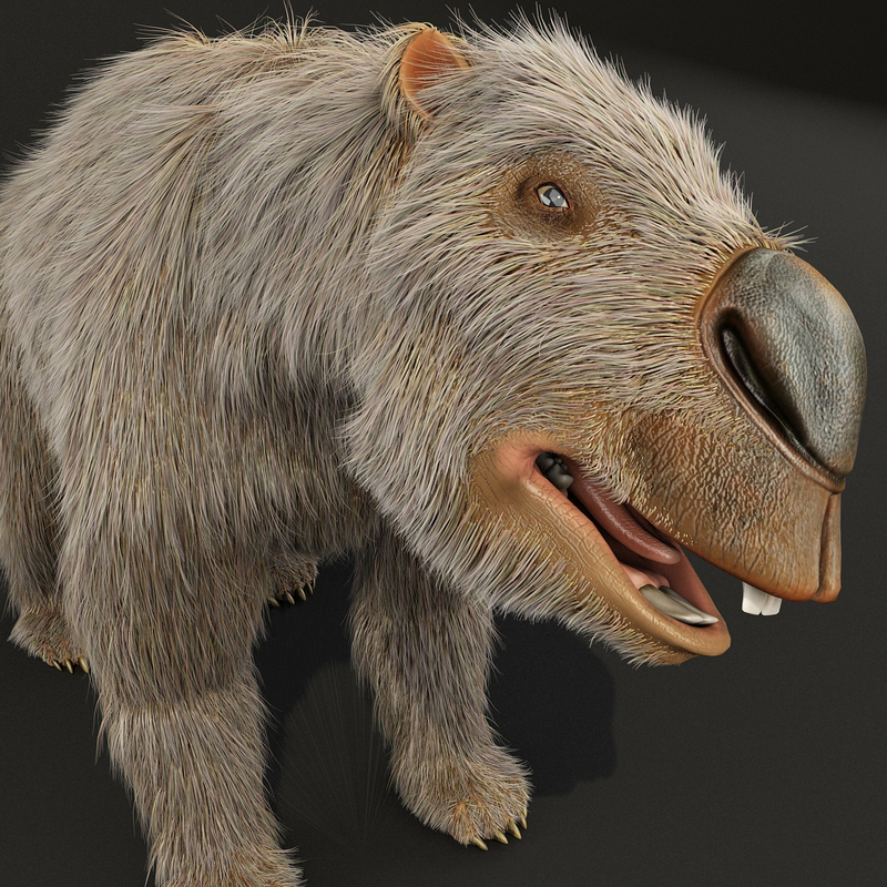 3dsmax diprotodon fur rigged