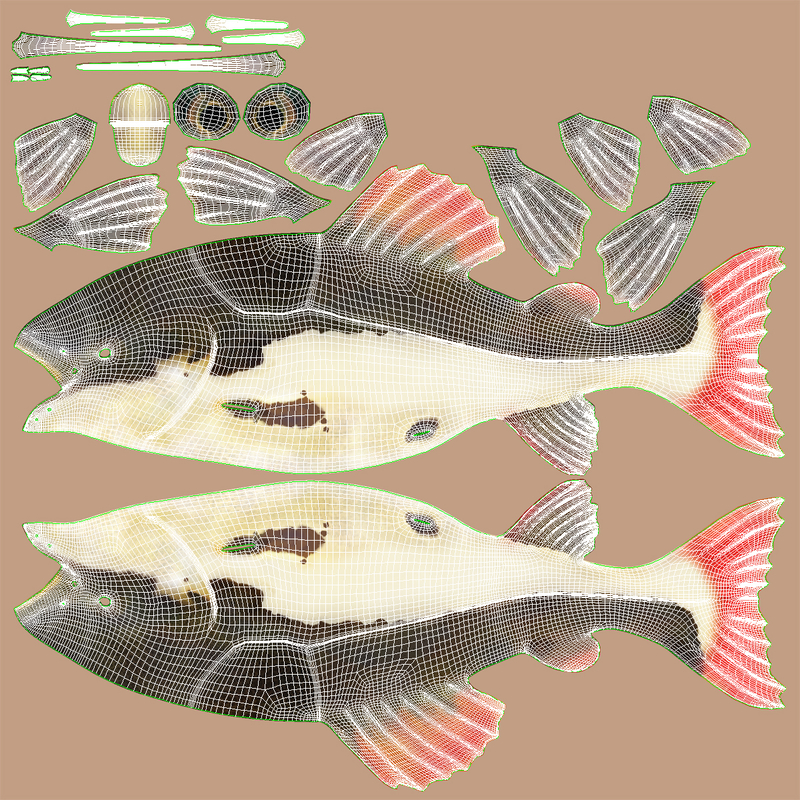 3d model redtail catfish