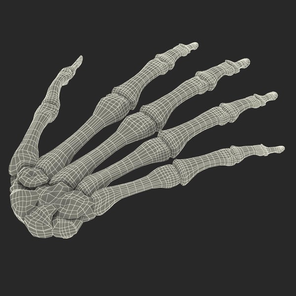 skeleton hand 3d 3ds