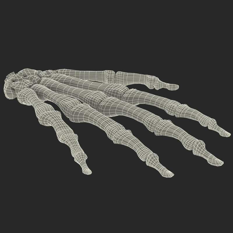 skeleton hand 3d 3ds