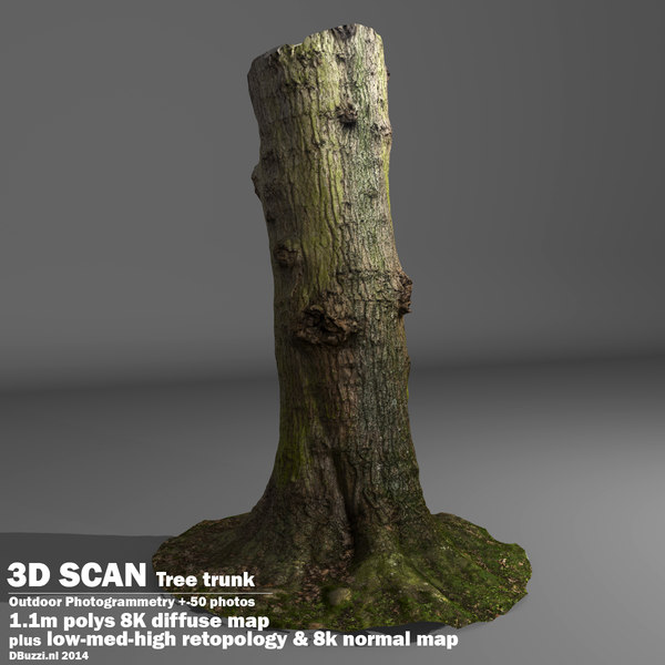 scan tree trunk 3d model