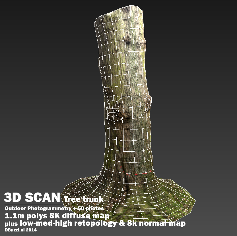 scan tree trunk 3d model
