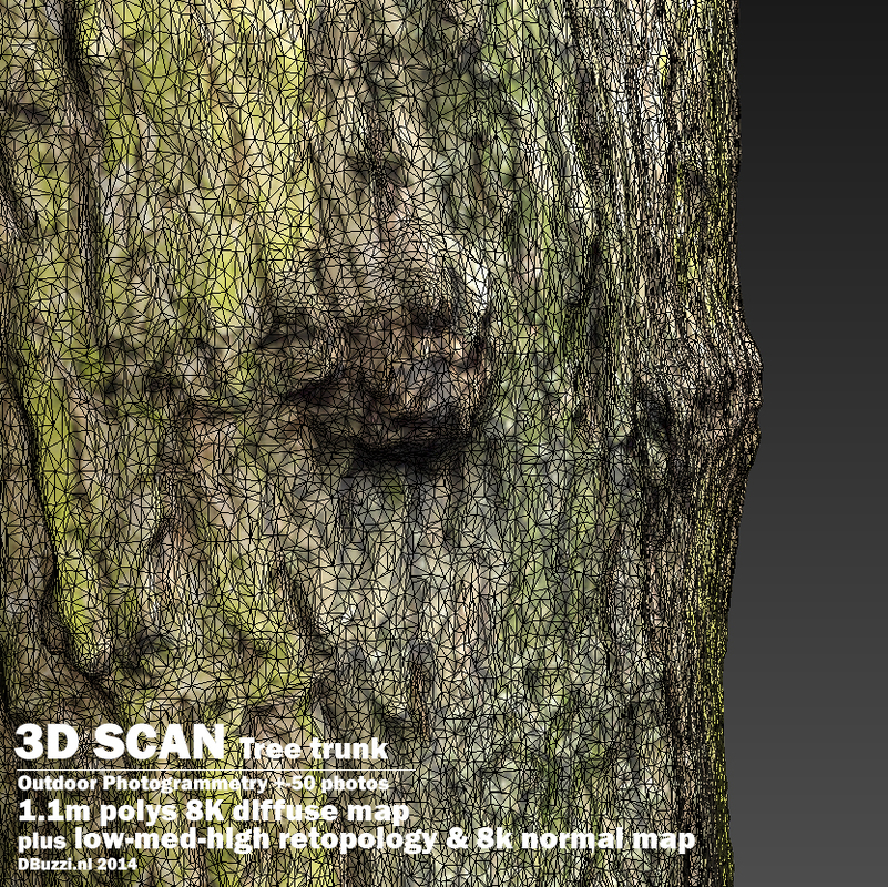 scan tree trunk 3d model