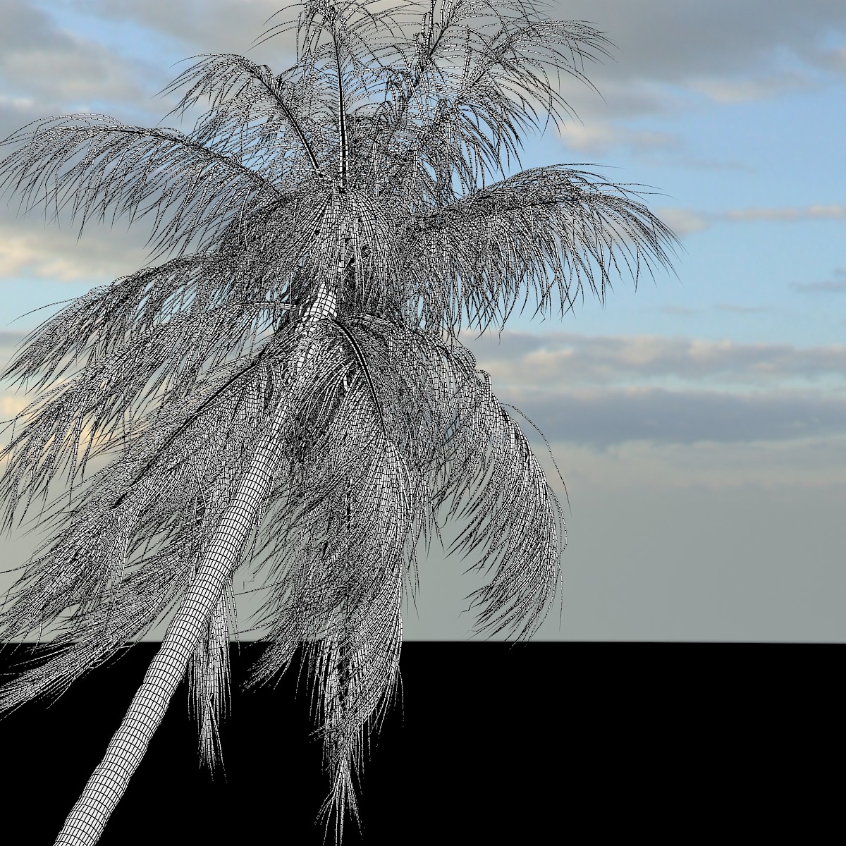 3d model coconut palm tree
