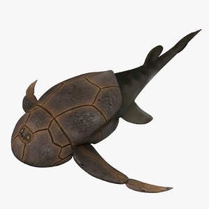Pambdelurion Whittingtoni Modelo 3D - TurboSquid 1555371