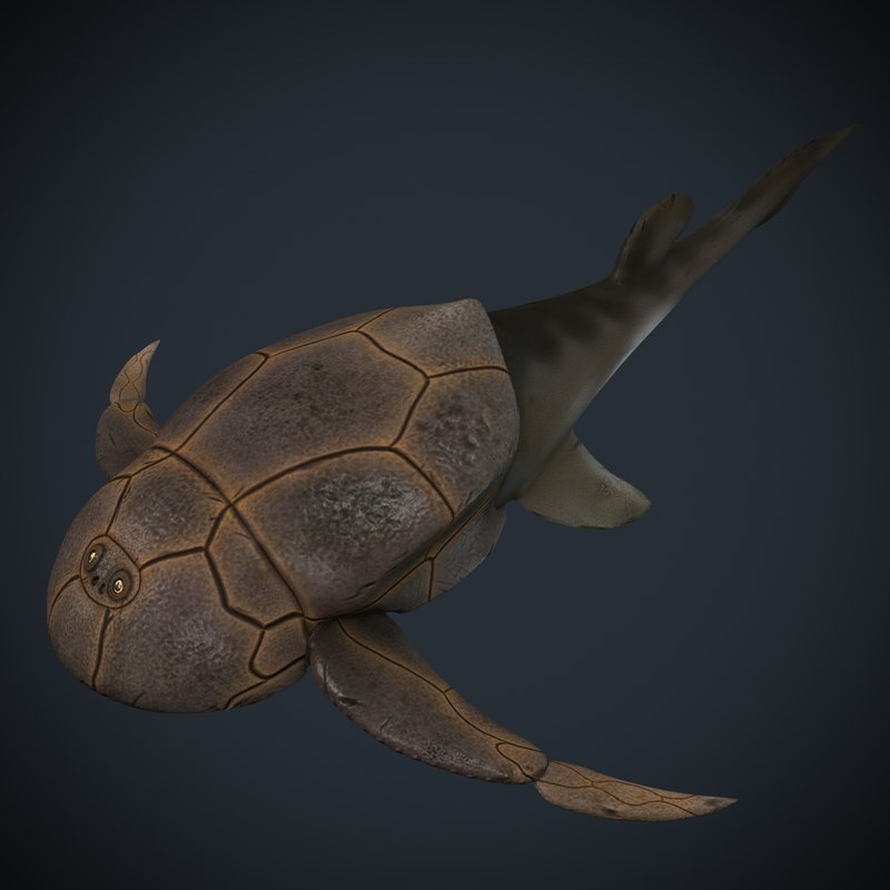 bothriolepis devonian 3d max