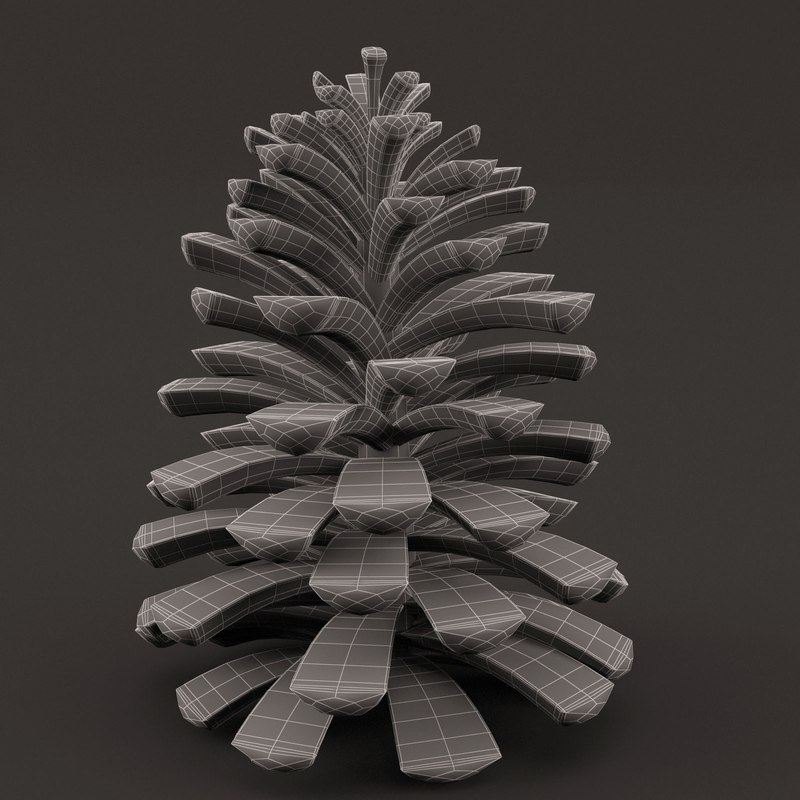 pine cone 3d max