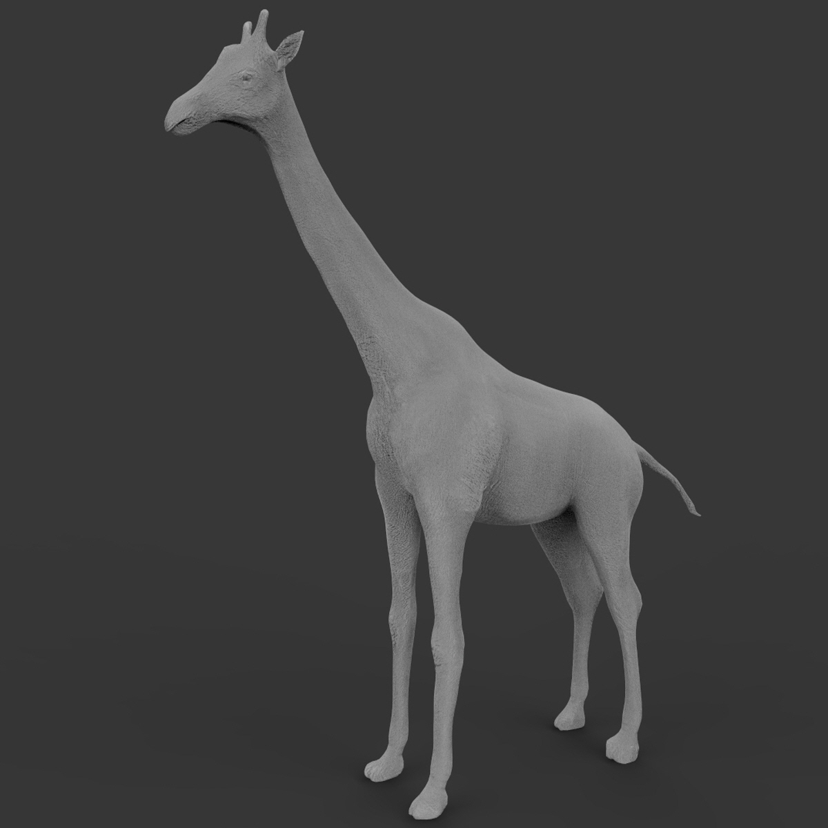 giraffe 3d model