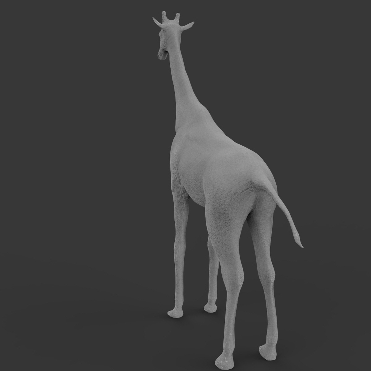 giraffe 3d model