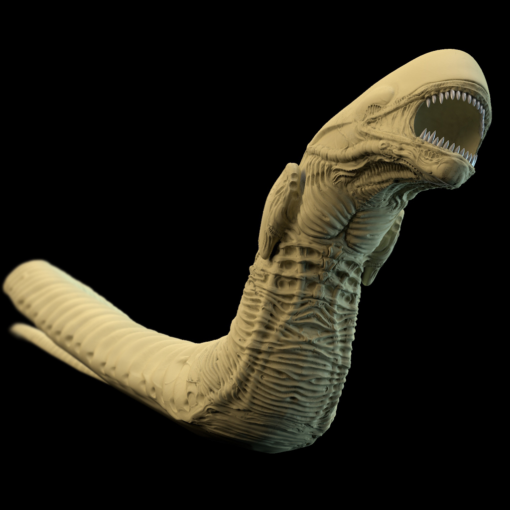 3d chestburster alien model
