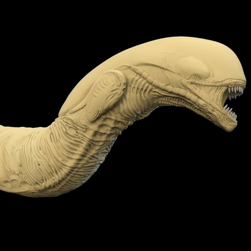 3d chestburster alien model