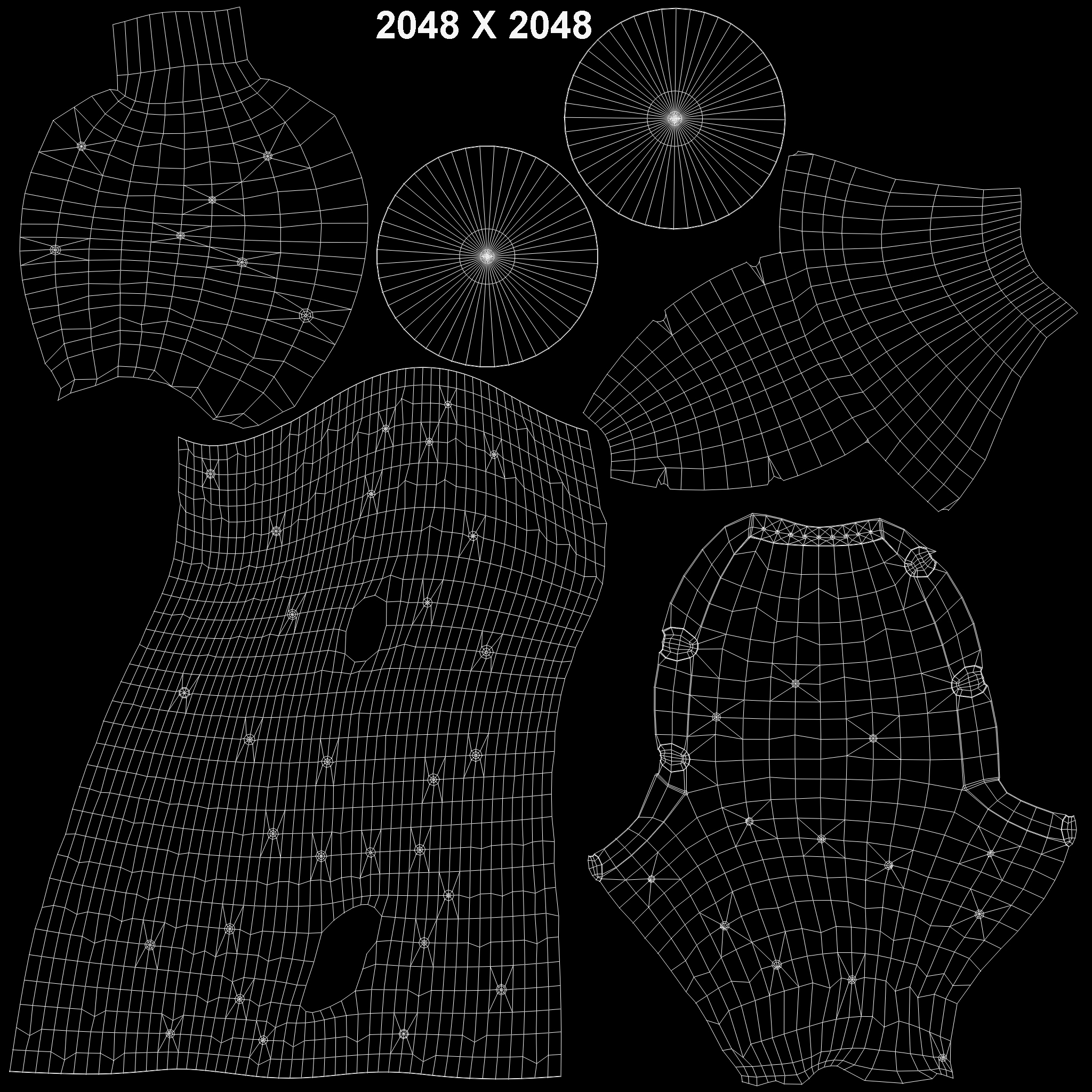 3d sponges animals phylum model