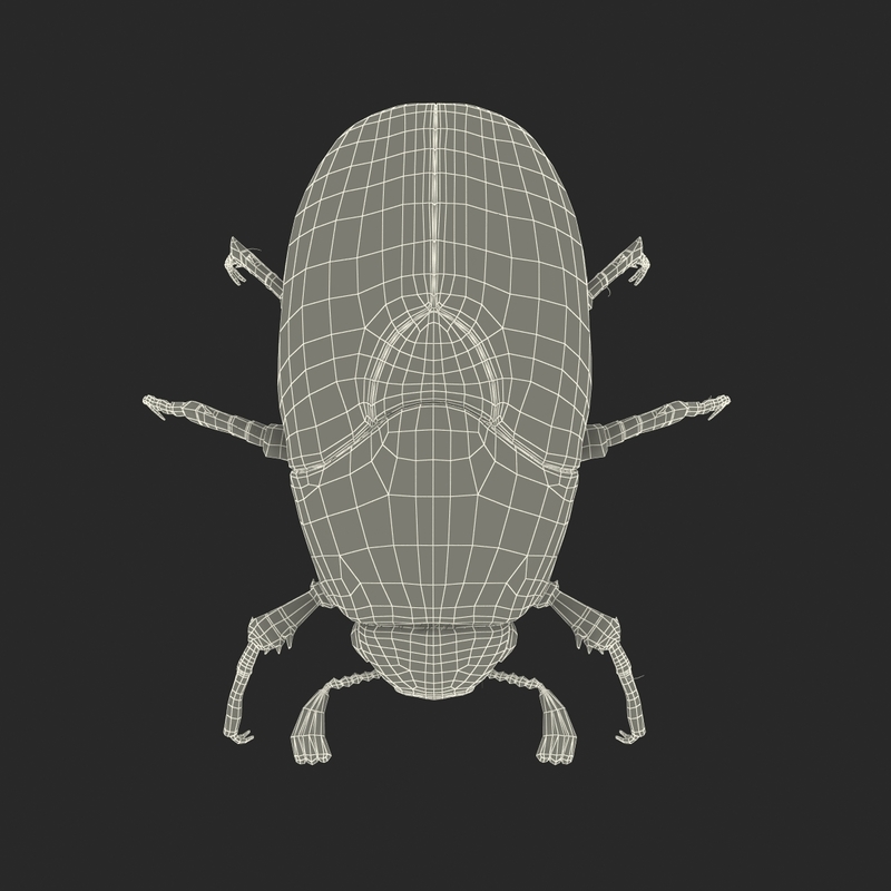 3ds max green scarab beetle