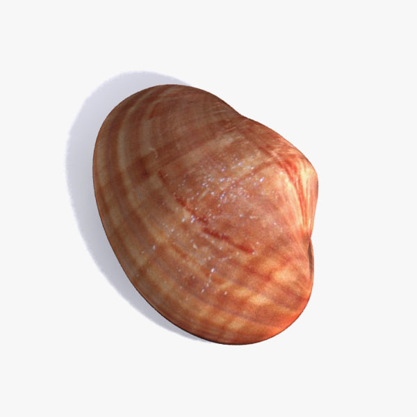 smooth shell 3d max