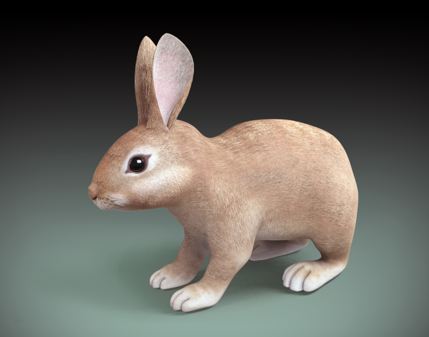 cartoon rabbit 3d model