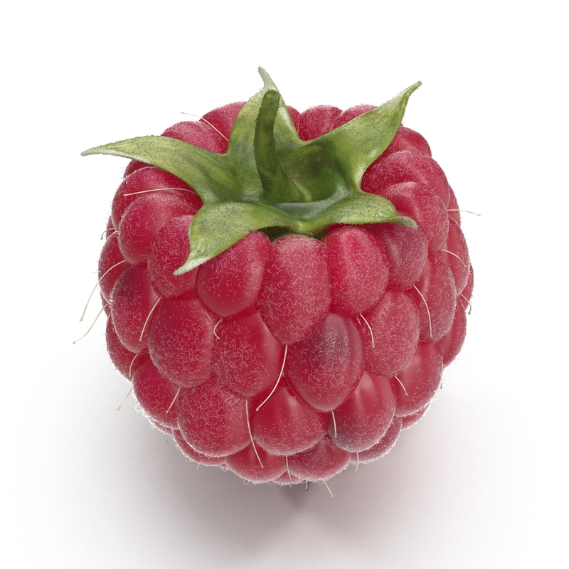 fresh raspberry 3d model