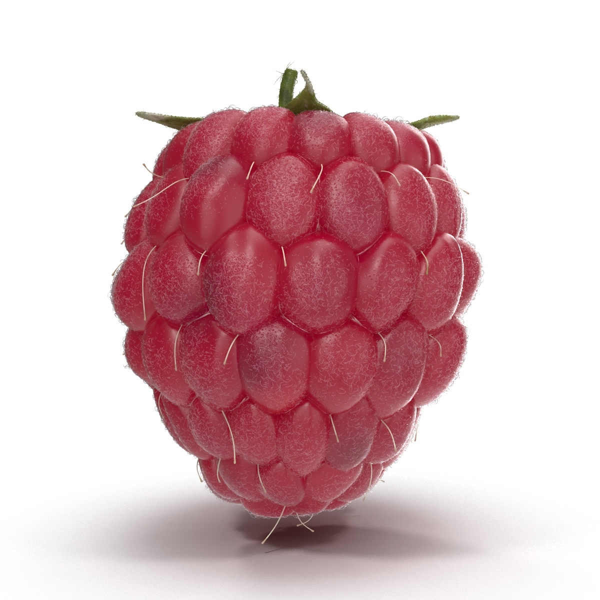 fresh raspberry 3d model
