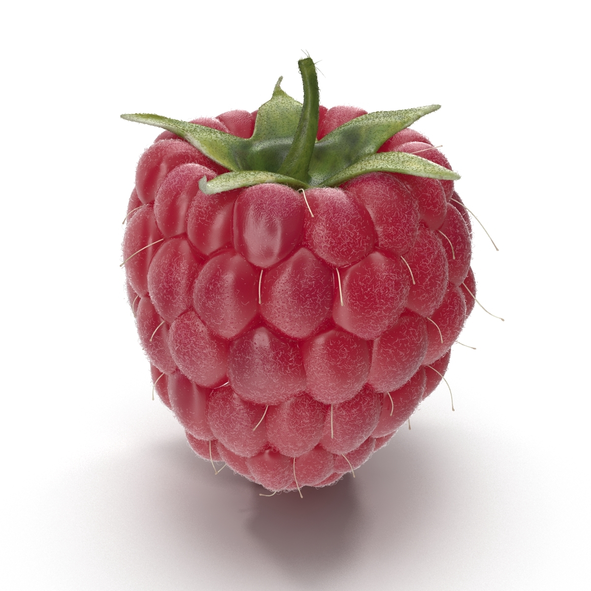 fresh raspberry 3d model