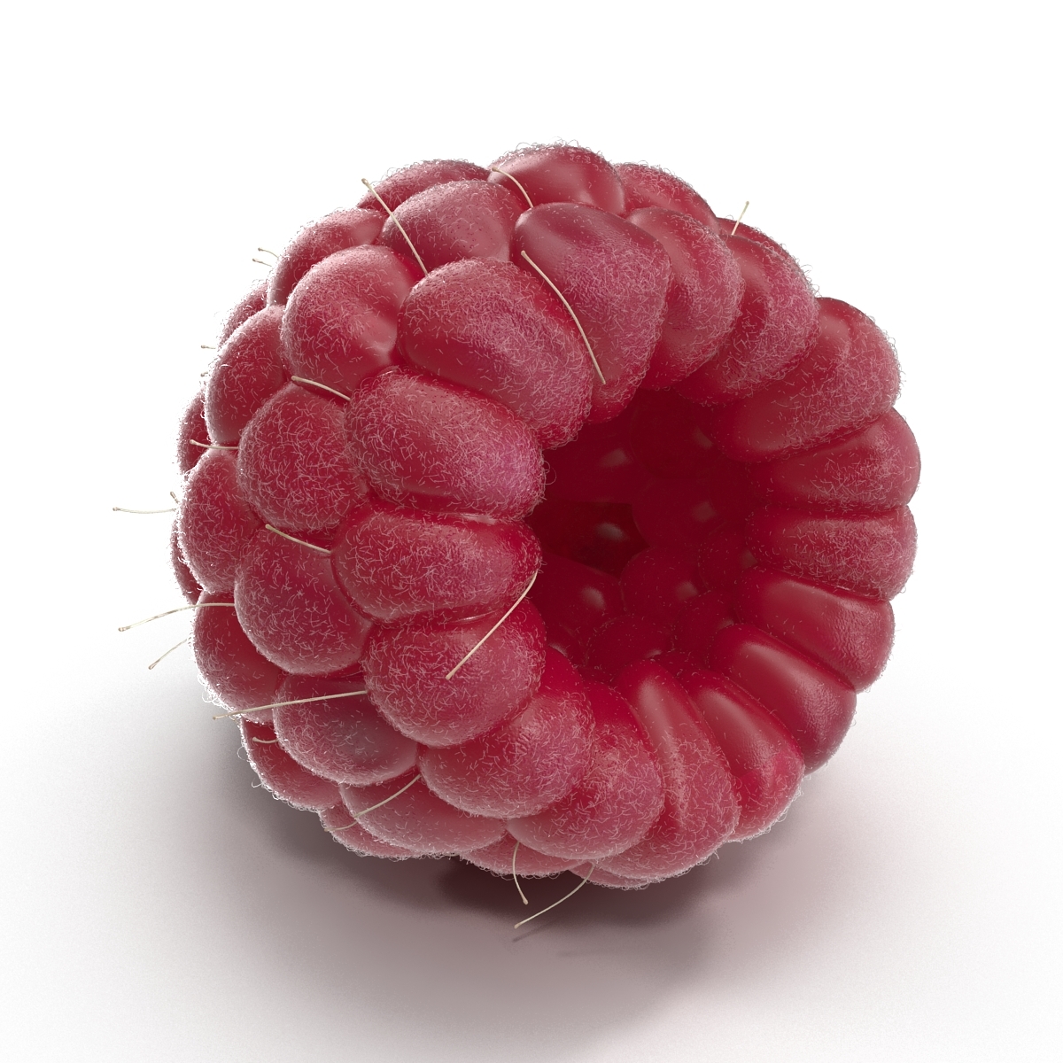 fresh raspberry 3d model